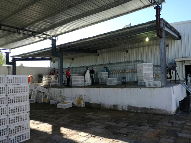 Pre-engineered Poultry Processing Plant with Processing Slaughter ...